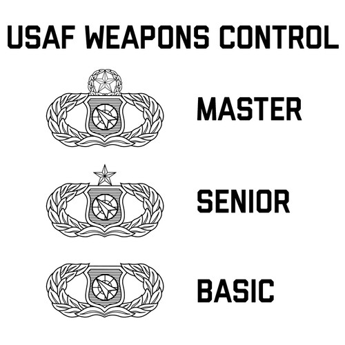 USAF Weapons Control Badge Engraved Glassware