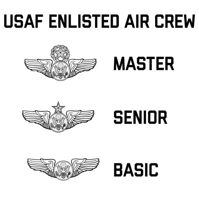 USAF Enlisted Air Crew Badge Glassware | Official USAF Merchandise