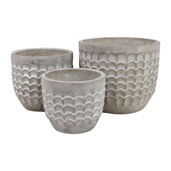 Fish Scale Cement Pot Lrg - Botanical Creations