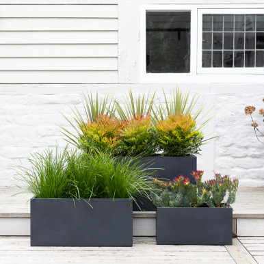 Asher Trough Java Sml - Botanical Creations