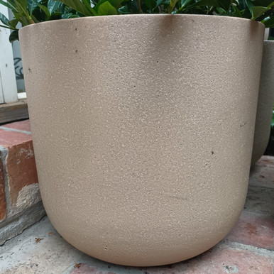 Atlas Egg Taupe X-Sml - Botanical Creations