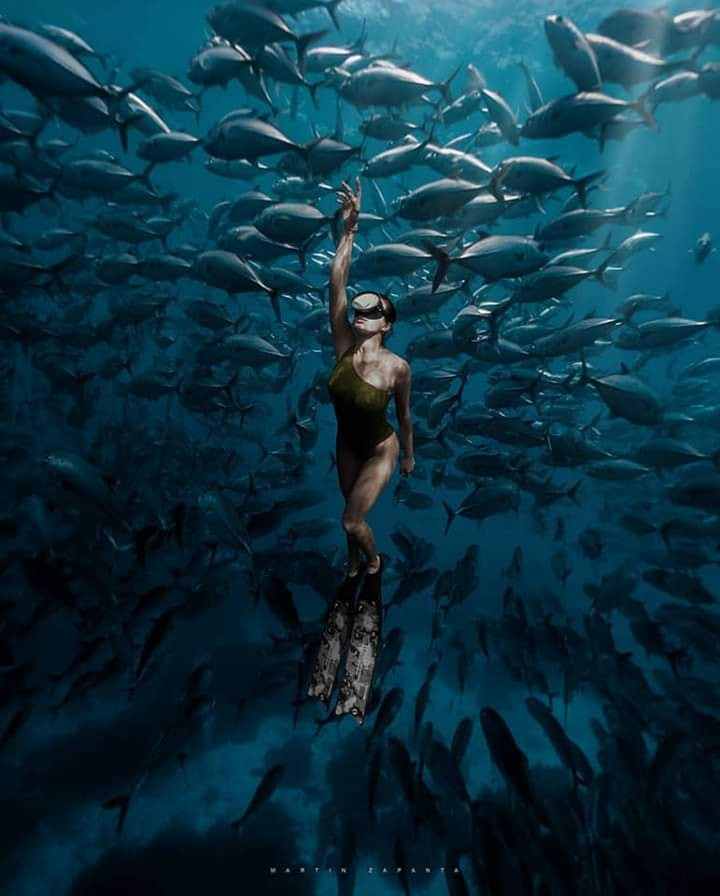 Kaudal Composite Blade Upgrades - HammerHead Webstore