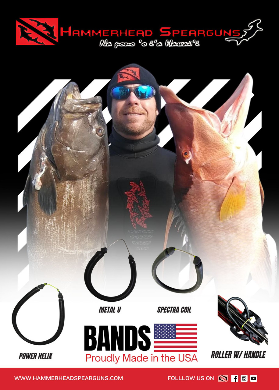 Bands, Spectra Coil Wishbone - HammerHead Webstore