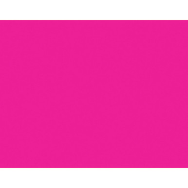 BAZIC 22" X 28" Fluorescent Pink Poster Board