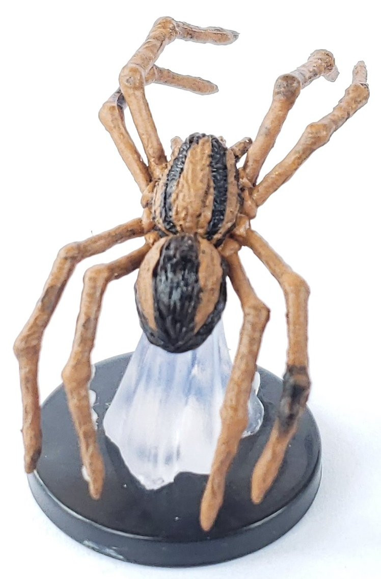 Fangs & Talons 08 - Giant Wolf Spider - Beholder The Bargains Dungeons ...