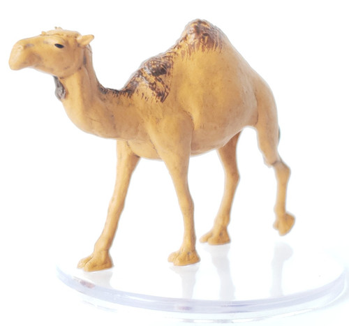 Sand and Stone 30 - Camel - Beholder The Bargains Dungeons & Dragons ...