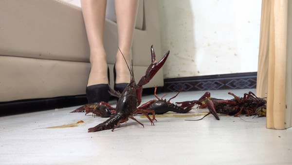 Caroline - No. 3 - Crawdads - Dream Crush