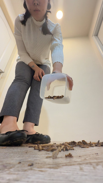 Flats Pop Flat