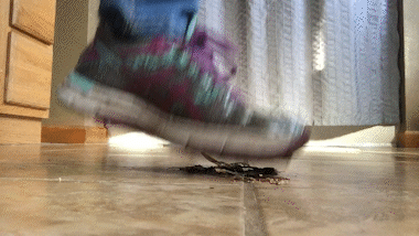 Tennis Shoe Terror - Dream Crush