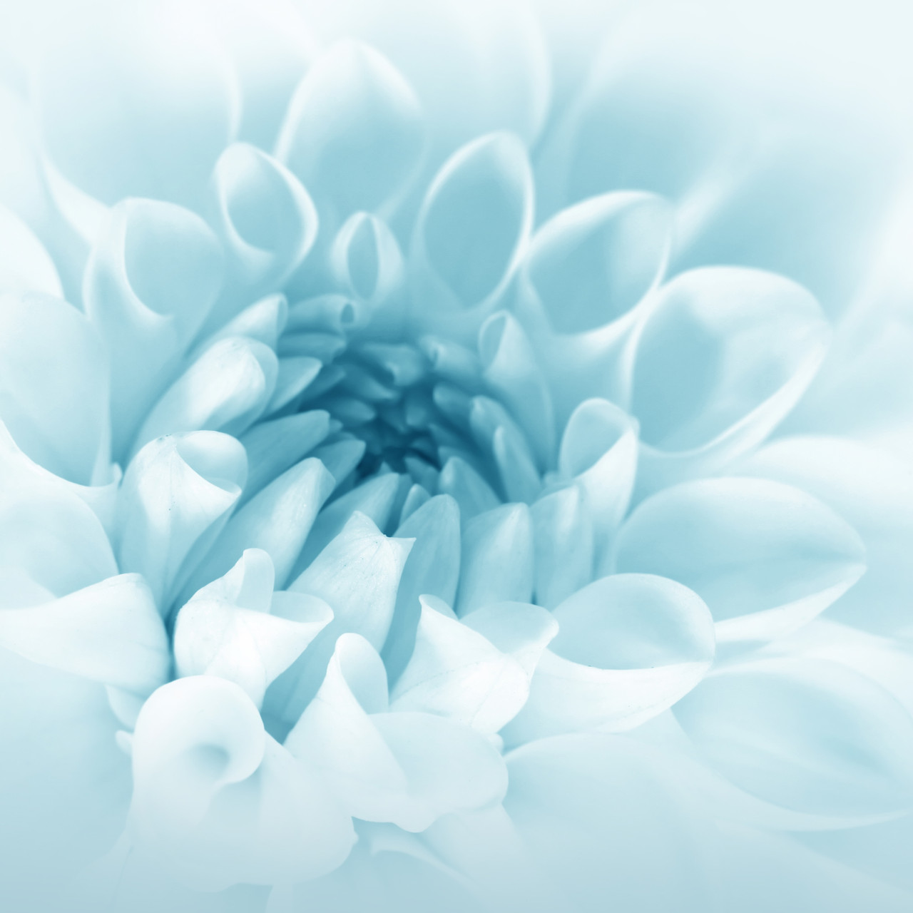 Blue Musk Fragrance Oil | Buy Wholesale From Bulk Apothecary