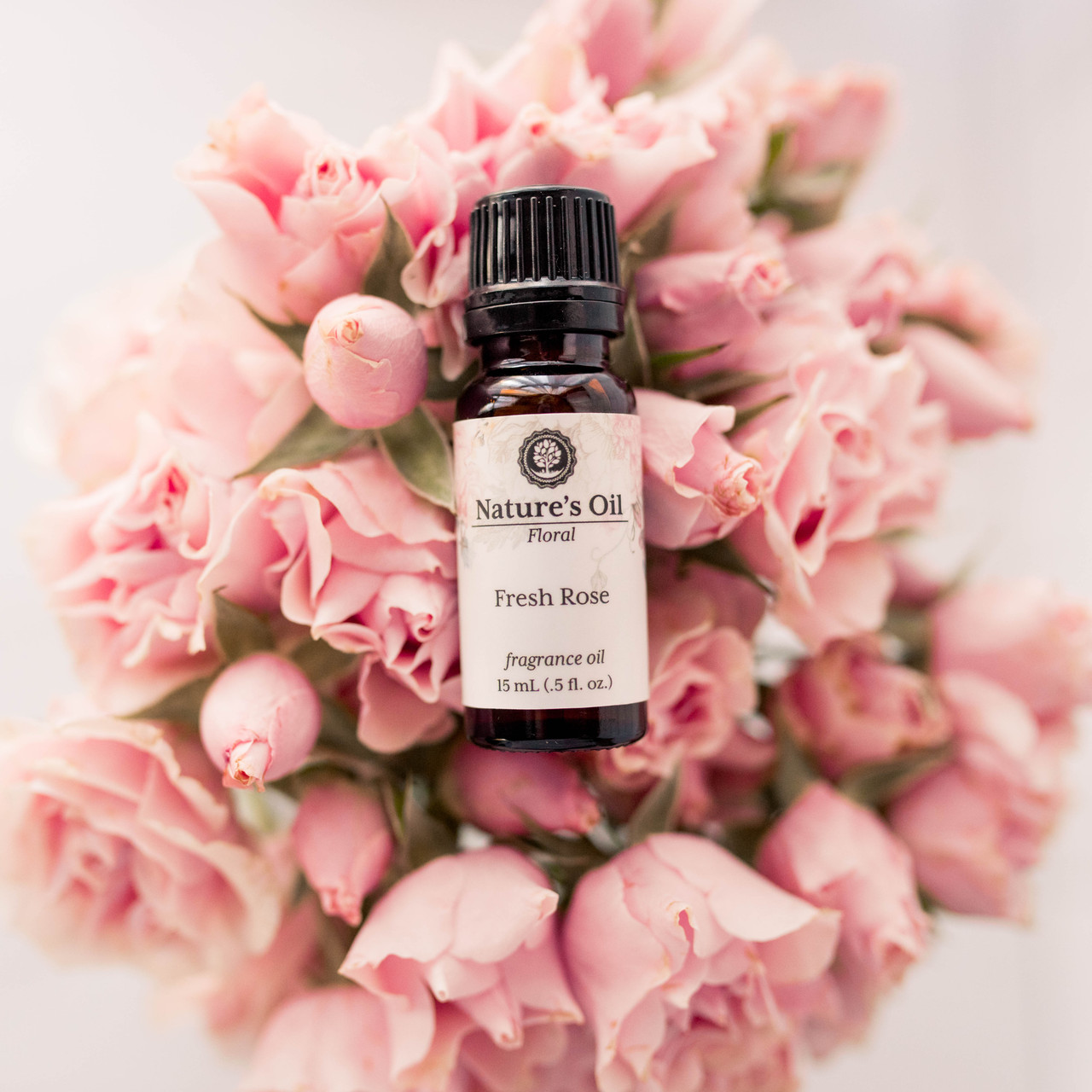 Fresh Rose Fragrance Oil | Buy Wholesale From Bulk Apothecary