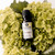 Spring Green Fragrance Oil | Buy Wholesale From Bulk Apothecary