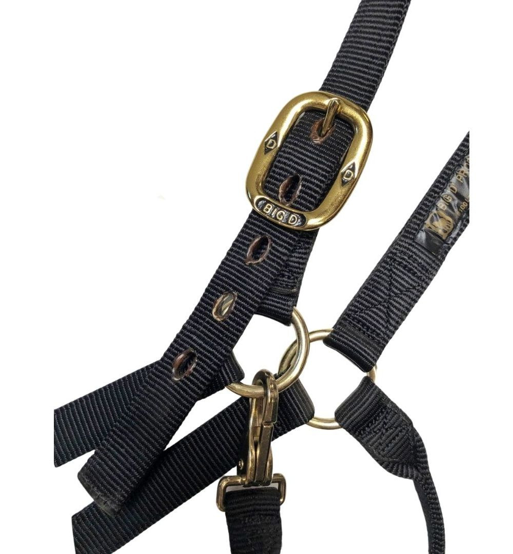 Big D Nylon Draft Horse Halter- Draft Horse Tack
