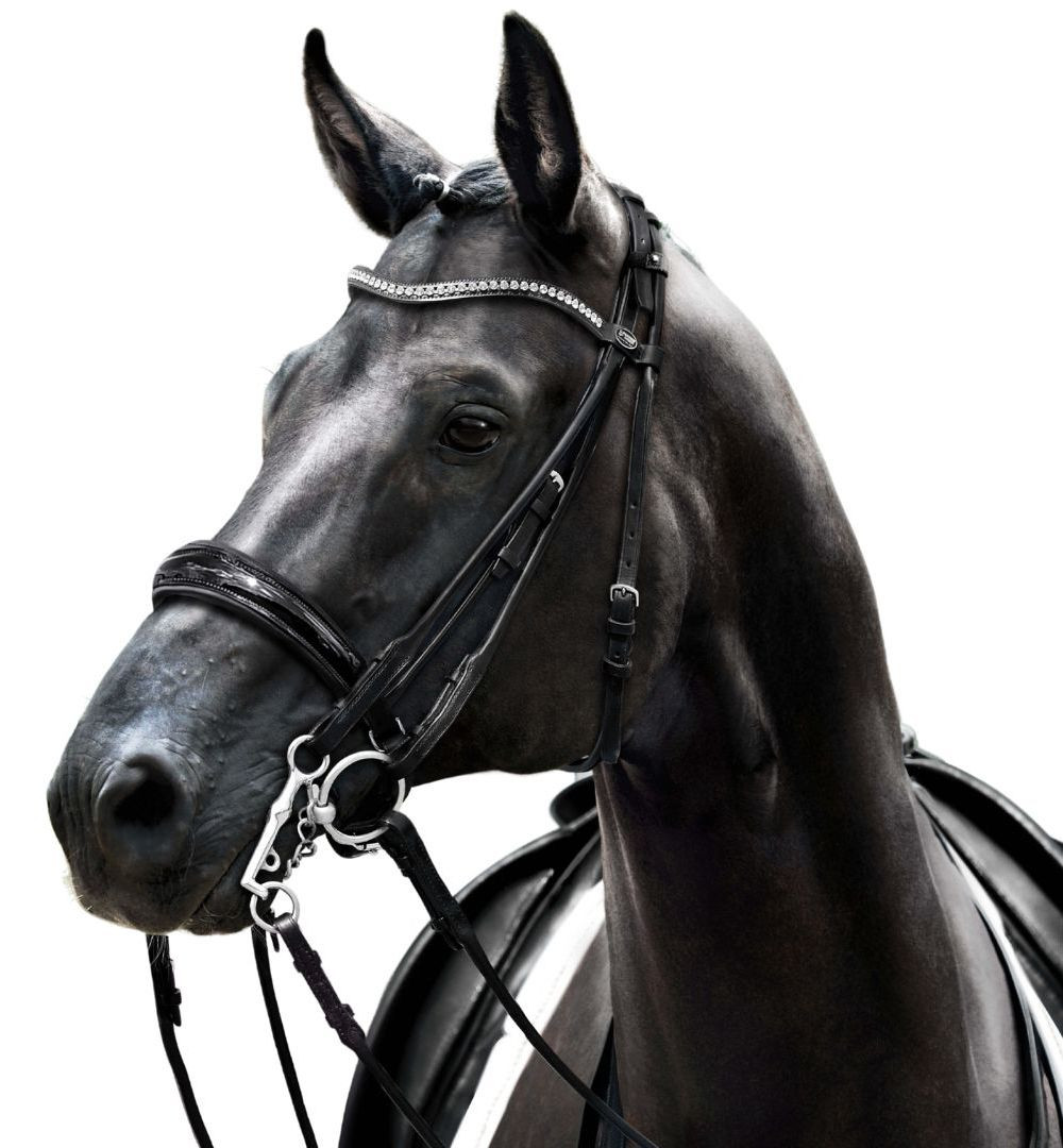 Passier Icarus Rolled Double Bridle- Dressage Tack