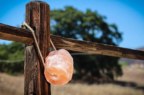 Himalayan Rock Salt on Rope- Horse Electrolytes