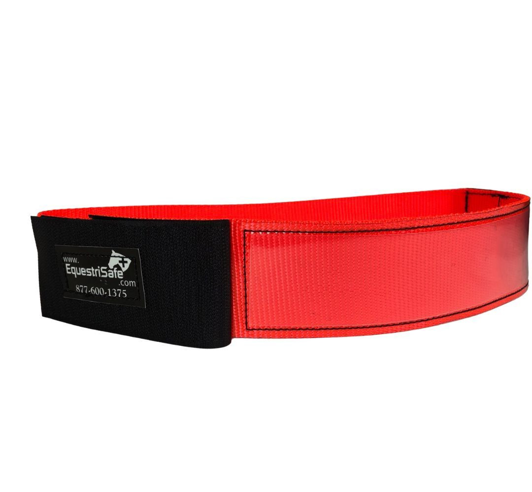 EquestriSafe Horse ID Collar - Horse ID Tags
