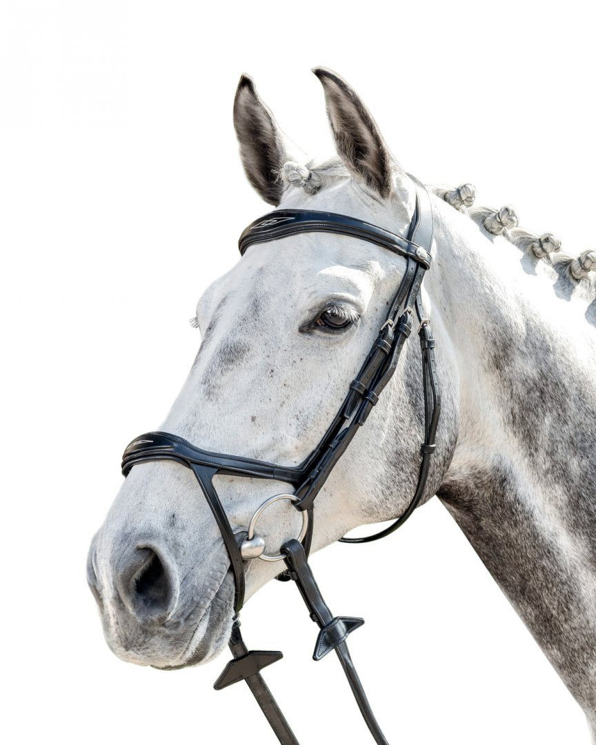 Prestige FS Anatomic Drop Noseband Bridle- English Tack