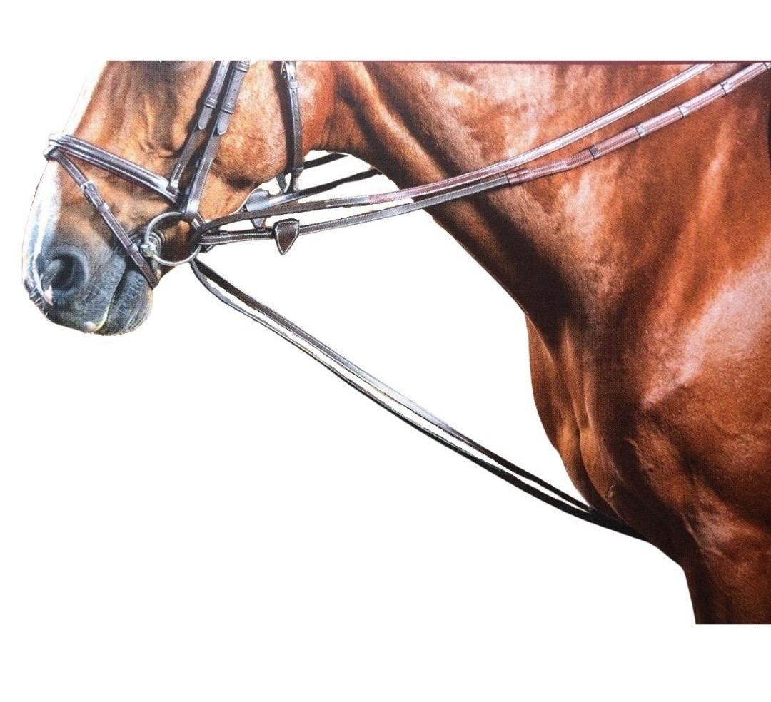 Dy'on Rubber Lined Hunter Draw Reins- Horse Training Reins