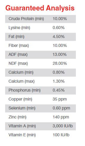 Purina Omolene 100 Pleasure - Feed And Bedding