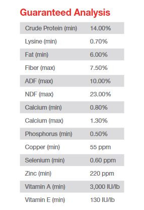 Purina Omolene 200 Performance - Feed And Bedding