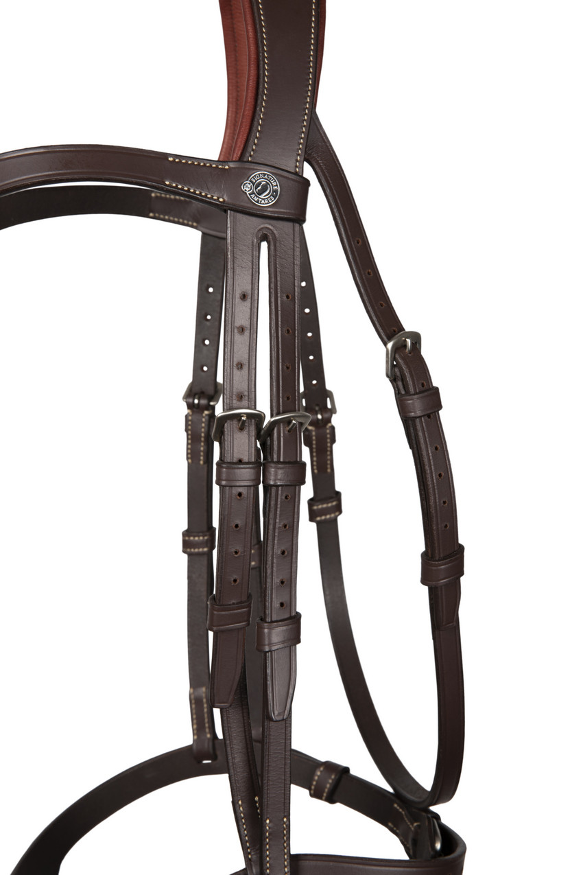 Signature by Antarès Training Bridle- English Horse Tack