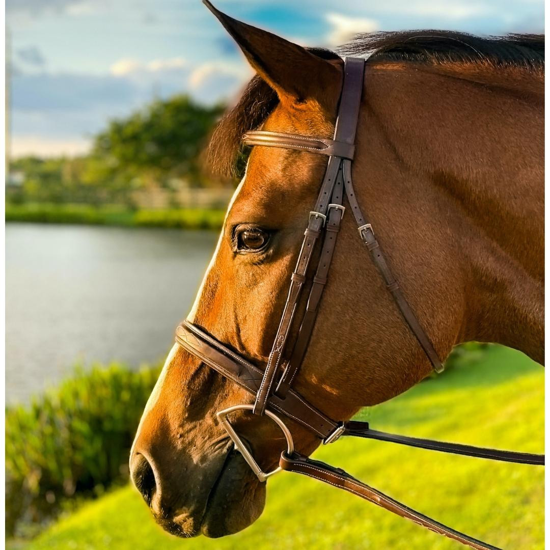 Beval Heritage Wide Fancy Stitch Bridle- English Tack