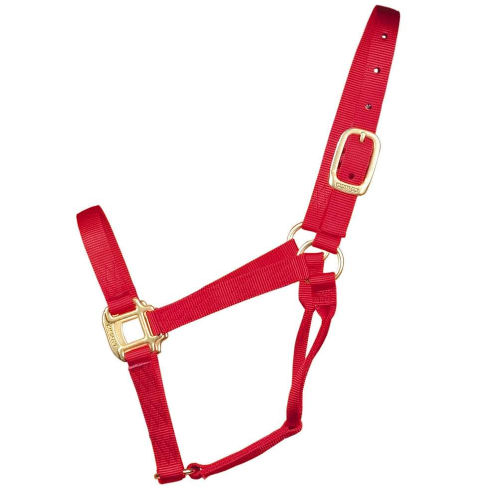 Hamilton Quality 1" Nylon Halter- Horse Halters