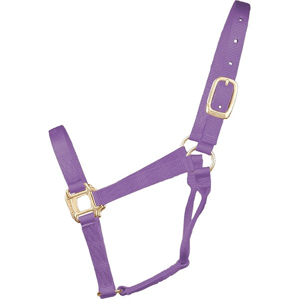 Hamilton Quality 1" Nylon Halter- Horse Halters