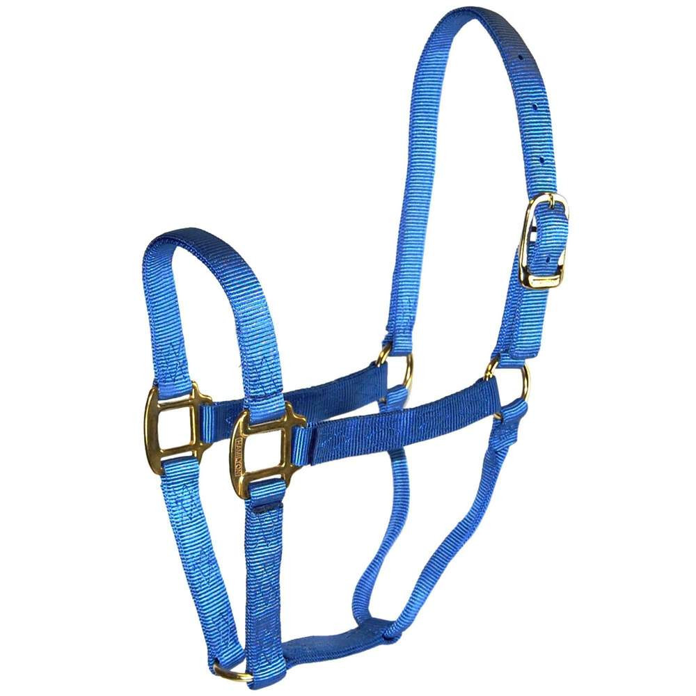 Hamilton Quality 1" Nylon Halter- Horse Halters