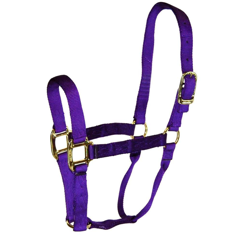 Hamilton Quality 1" Nylon Halter- Horse Halters