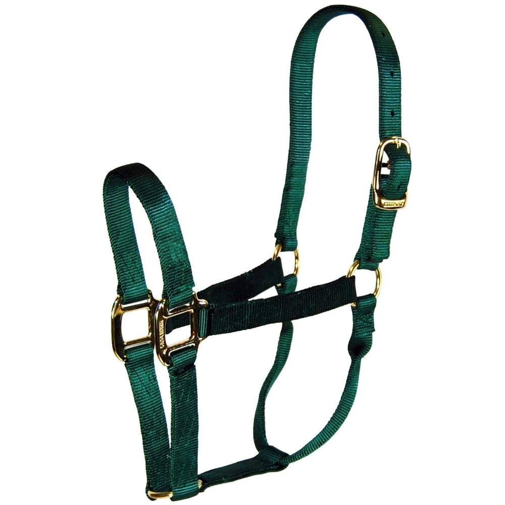Hamilton Quality 1" Nylon Halter- Horse Halters