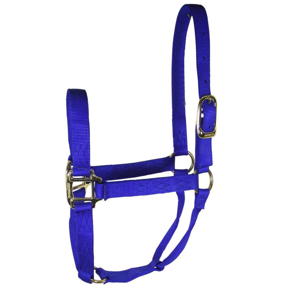 Hamilton Quality 1" Nylon Halter- Horse Halters