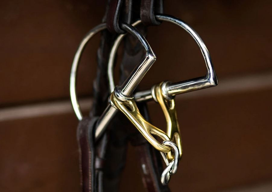 ProSeries Derby D-Ring Bit- Hunter Jumper Bits