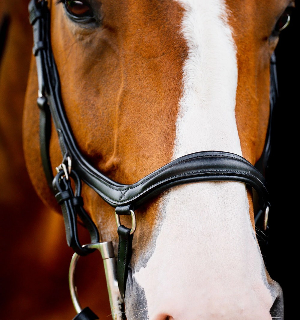Horseware Micklem 2 Deluxe Competition Bridle- Horse Tack