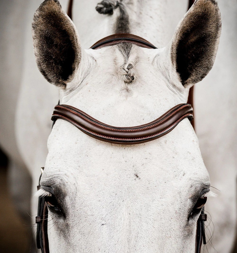 Horseware Micklem 2 Deluxe Competition Bridle- Horse Tack