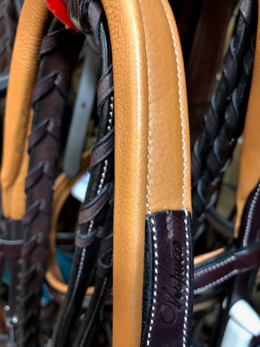 Vespucci New Fancy Raised Hunter Bridle- English Tack
