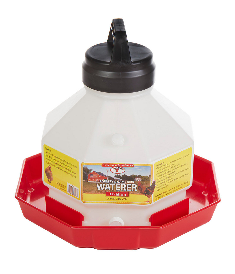Little Giant 3 Gallon Plastic Poultry Waterer- Chicken Supplies