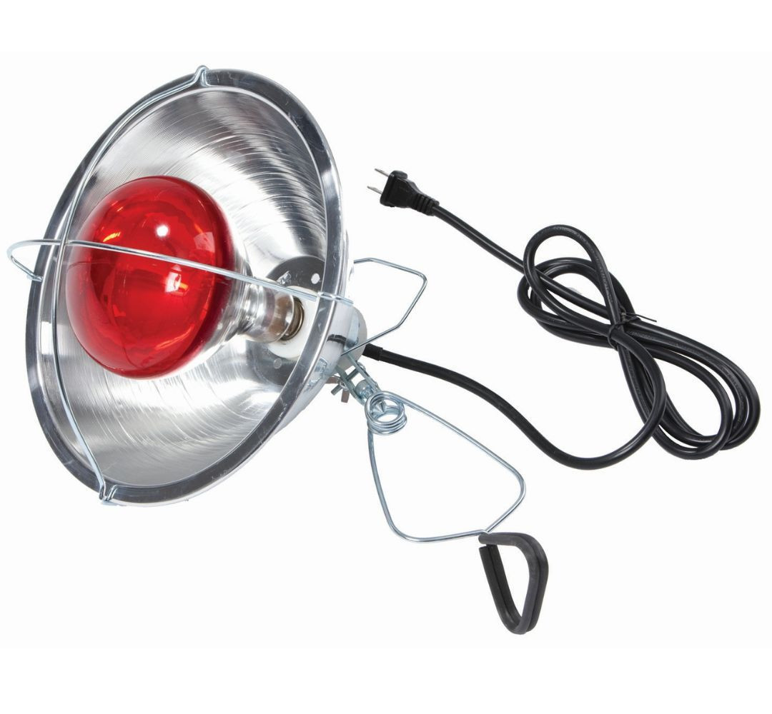 Little Giant 10.5" Brooder Reflector Lamp- Poultry Incubators