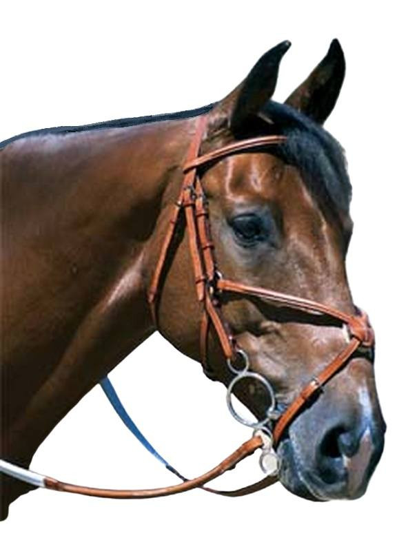 Edgewood Fancy Stitch Padded Figure 8 Bridle- English Tack