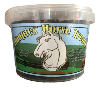 Amazing Graze Horse Treat Dispenser- Horse Toys