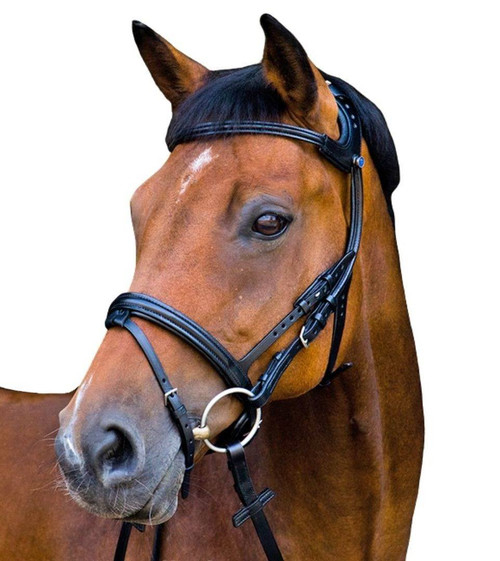 Dy'on Difference Flash Bridle - English Bridles & Tack