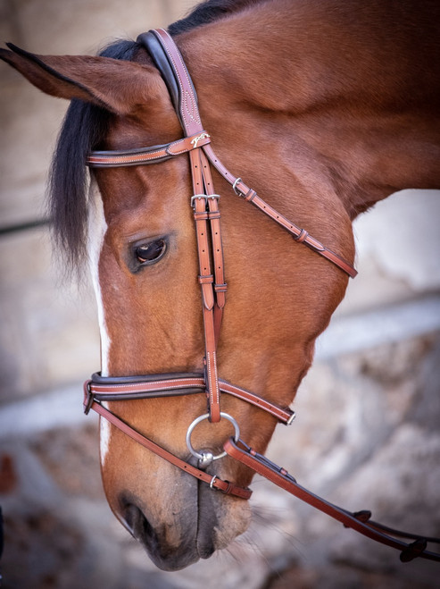 LeMieux Kudos Competition Bridle- Hunter/Jumper Bridles