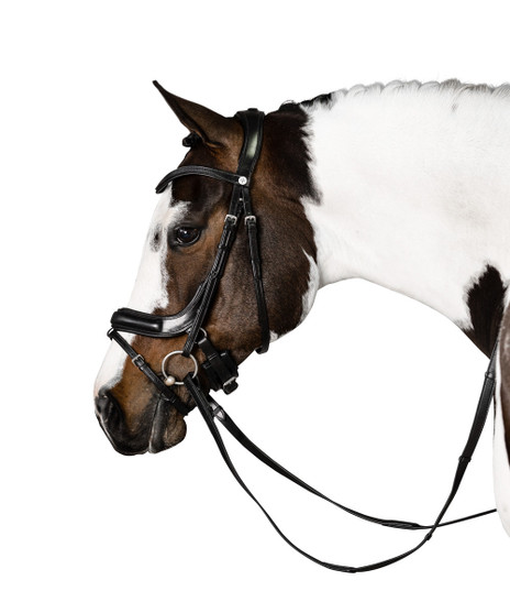 Lara Tweedie Connection Snaffle Bridle- Dressage Bridles