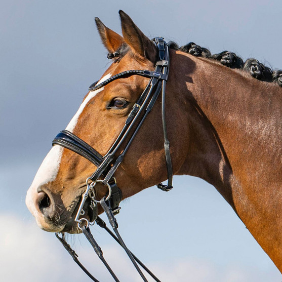Passier Highscore Double Bridle- Dressage Tack