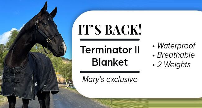 Mary's Tack and Feed - Online Tack & Horse Feed Store