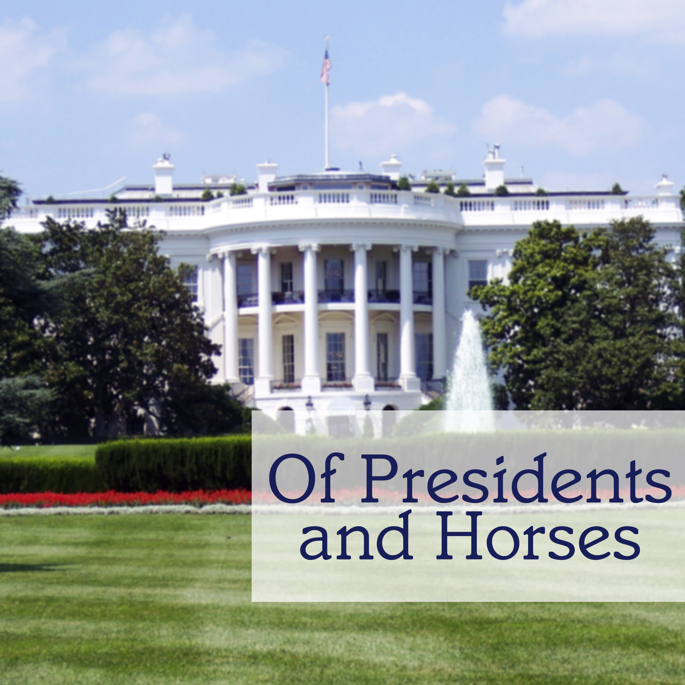 Of Presidents and Horses - Marys Tack & Feed