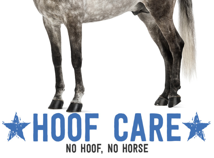 5 Easy Hoof Care Tips - Marys Tack & Feed