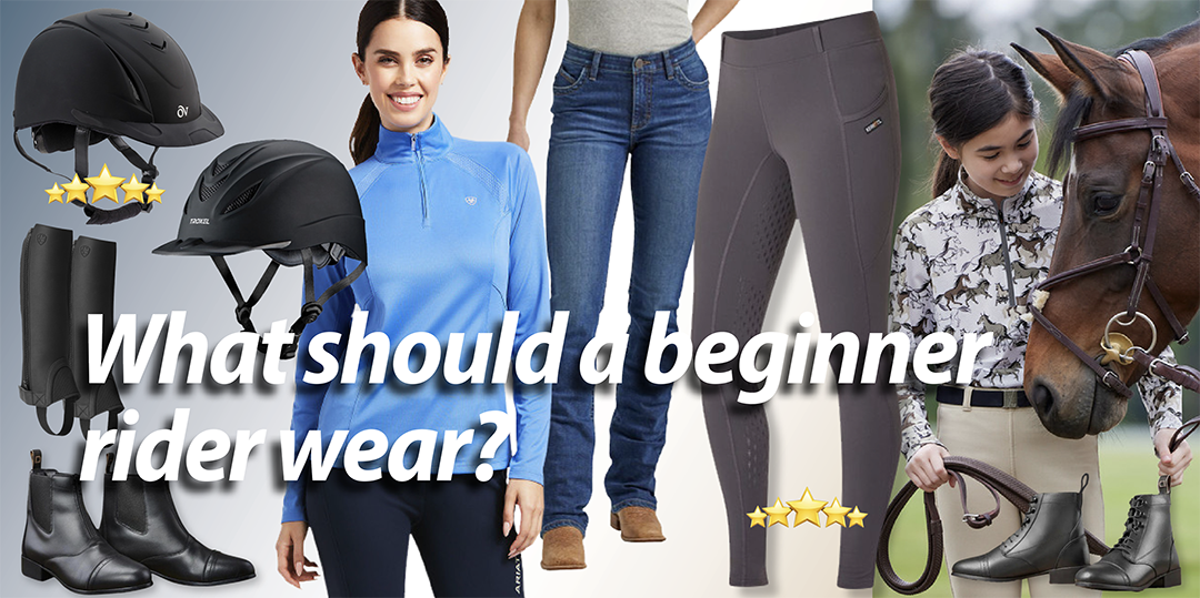 What Should a Beginner Rider Wear? - Marys Tack & Feed