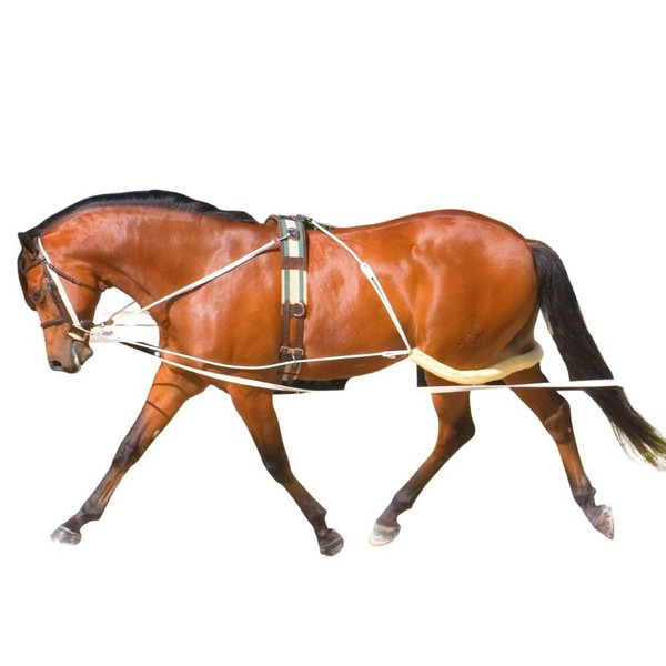 Pessoa Horse Lunging System- Horse Training Equipment