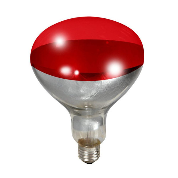 Red 250w Bulb- Brooder Reflector Lamp Bulbs
